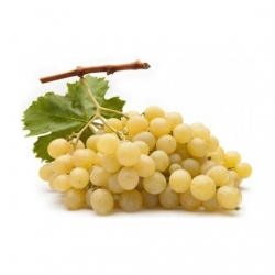 Fresh Fruits & Vegetables - Online Order - Plantin Kaviari HK